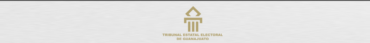 TEEG :: Estrados Electrónicos